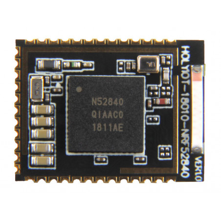 nRF52840 Low Power BLE Module with Ceramic Antenna - Seeed Studio
