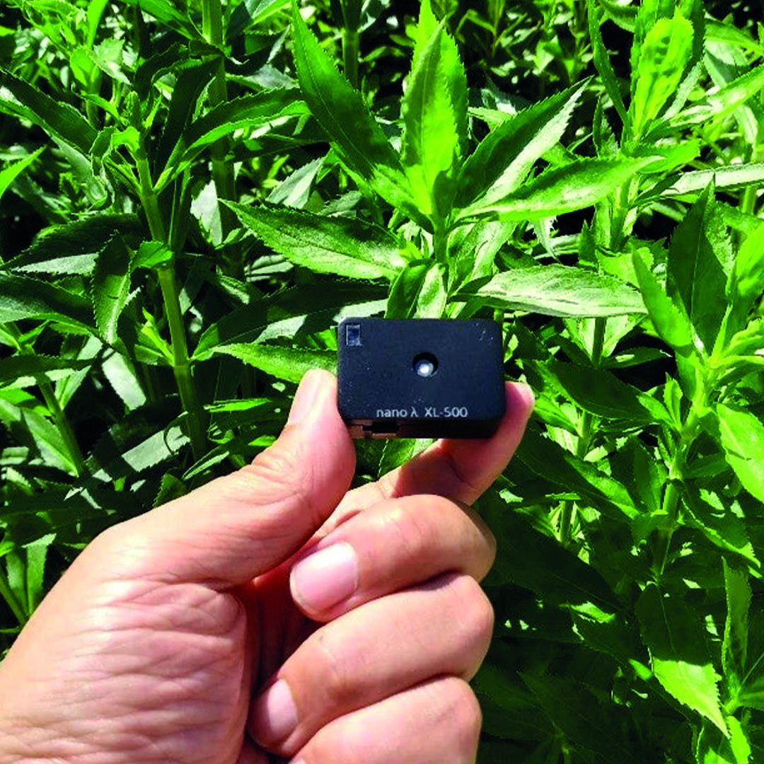 XL-500A BLE Spectroradiometer with additional diffuser for agricult...