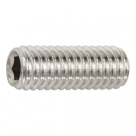 Grain with hexagon socket M6x6 flat tip - headless screw stainless ...