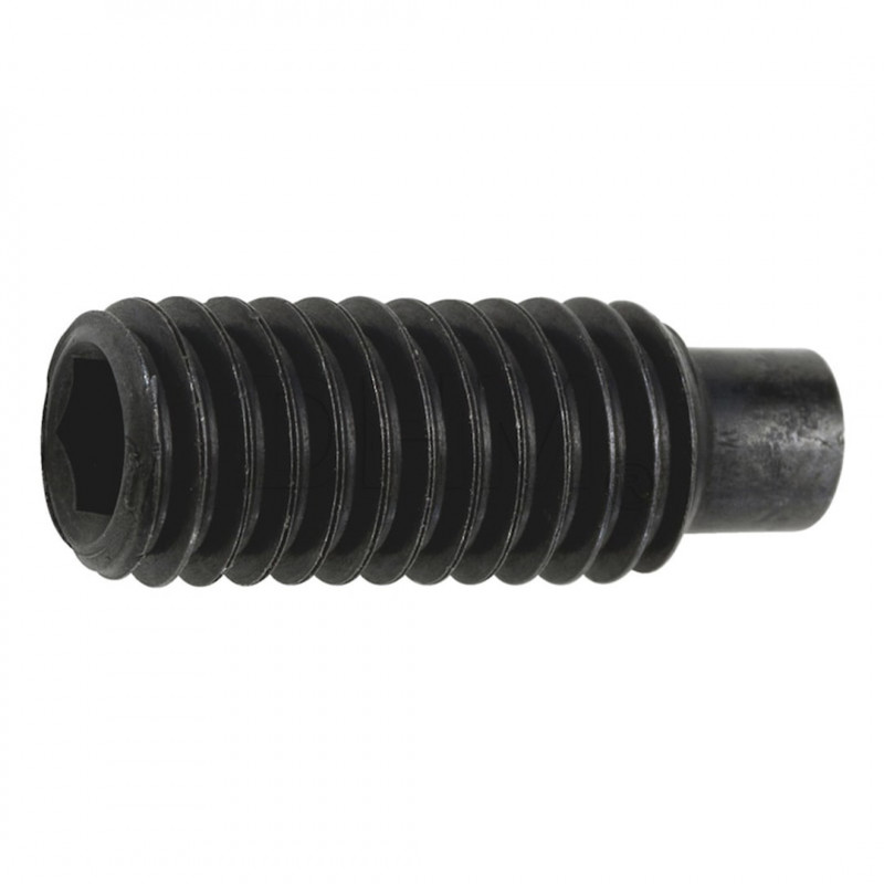 Grain with hexagon socket M5x8 cylindrical tip - steel headless screw