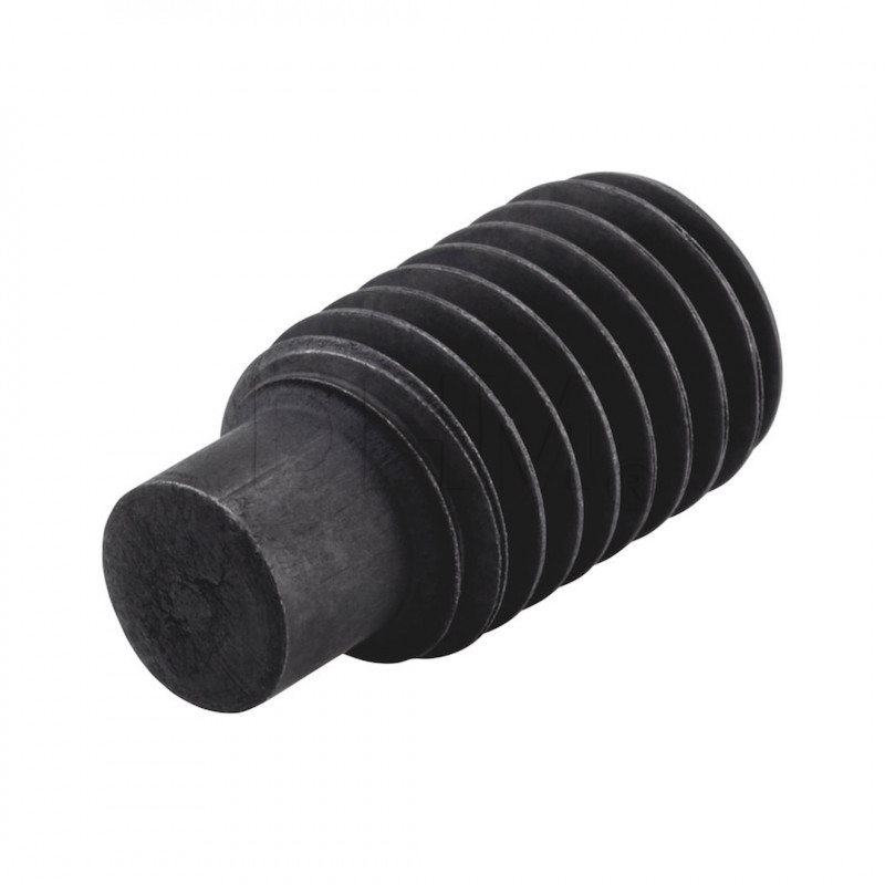 Grain with hexagon socket M8x35 cylindrical tip - steel headless screw