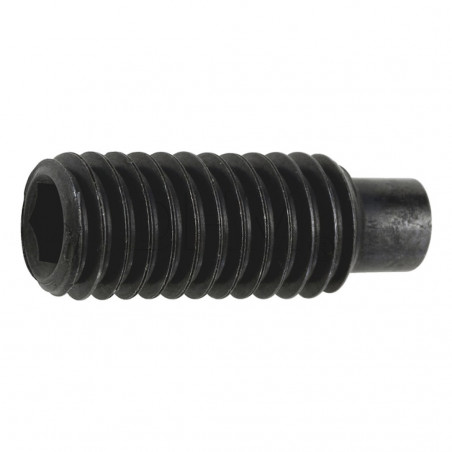 Grano con esagono incassato M8x40 punta cilindrica - vite senza tes...