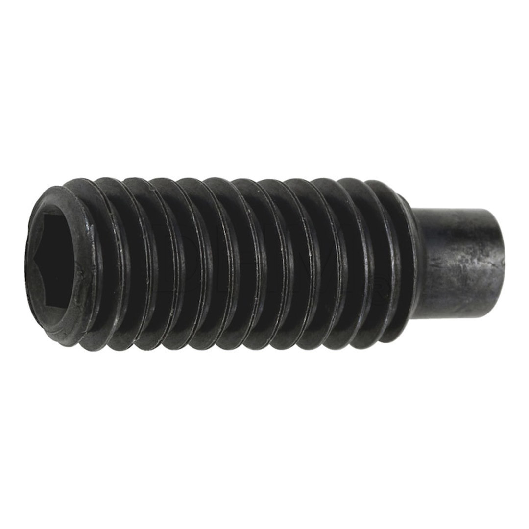 Grain with hexagon socket M12x30 cylindrical tip - steel headless s...