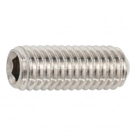 Grain with hexagon socket M5x8 cupped tip - headless screw stainles...