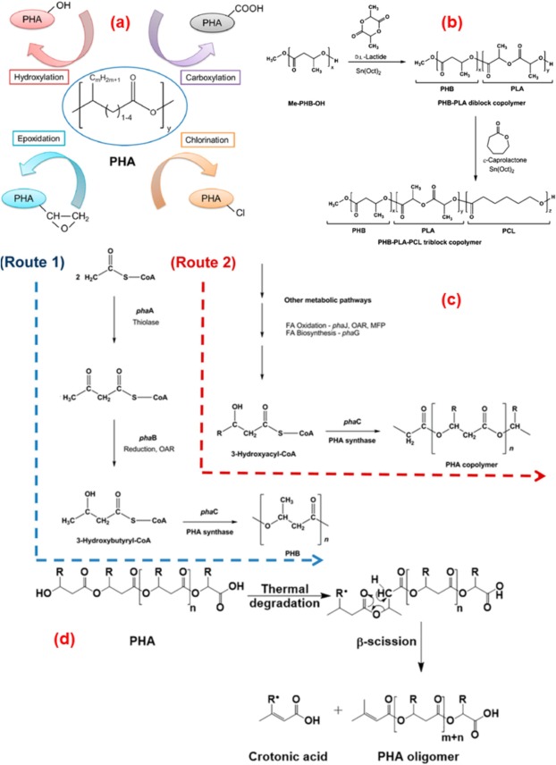 3D Printing of Biodegradable Polymers: Current Status, Properties ...